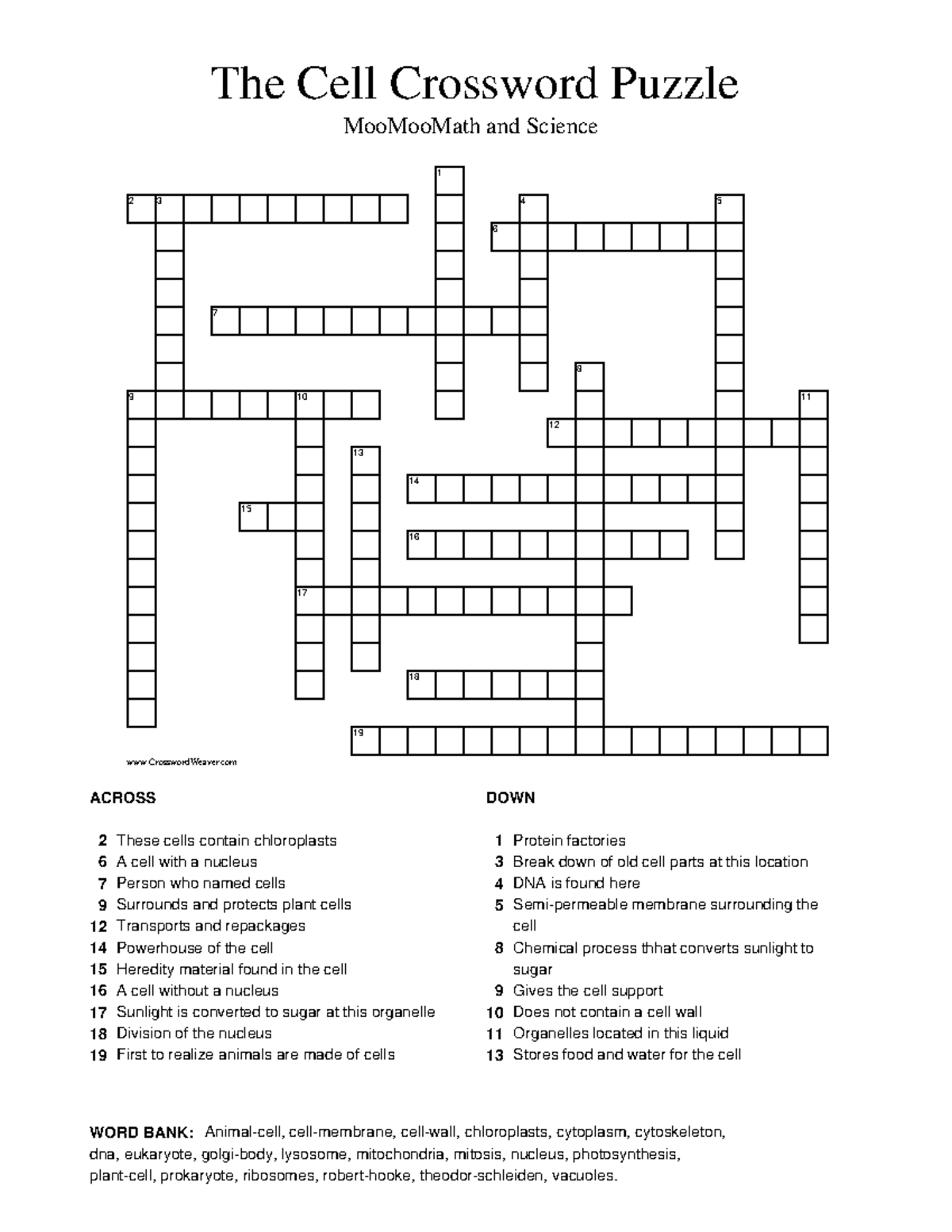 Cell Biology Crossword Puzzle: Terms and Answers - Studocu