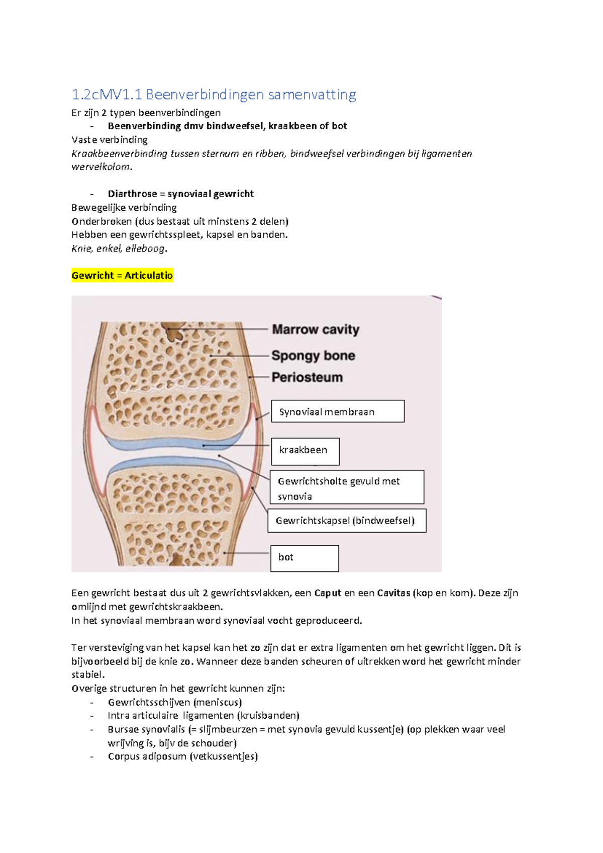 Samenvatting Beenverbindingen en Bewegingen - 1.2cMV1.1 - Studeersnel
