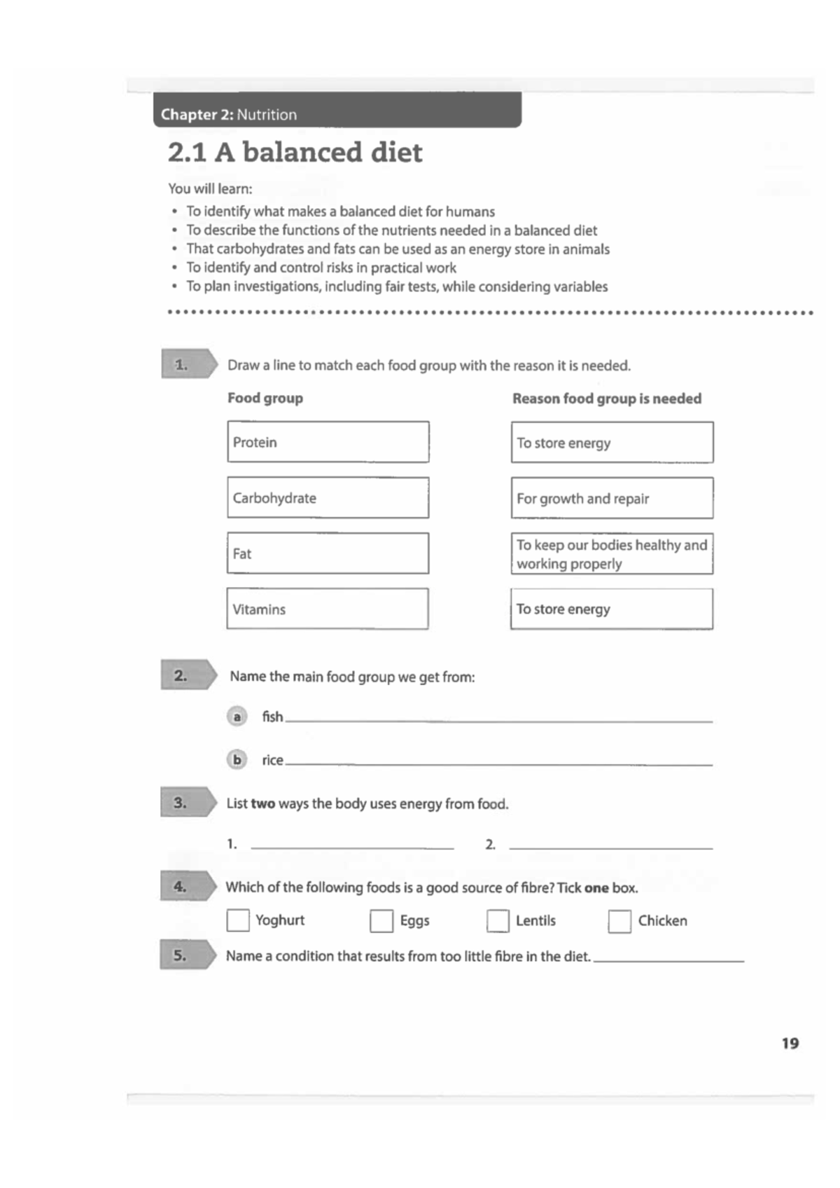 Nutrition and Balanced Diet Worksheet - Year 8 Science - Studocu