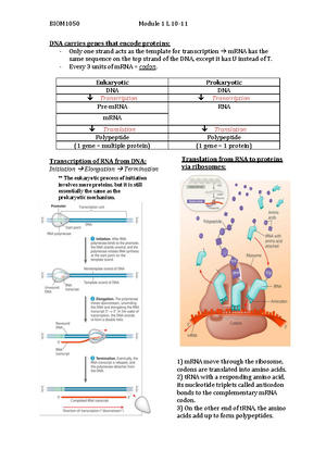 Osmosis Report Template BIOM1051 V3 (1) - Course Code BIOM Course Title ...