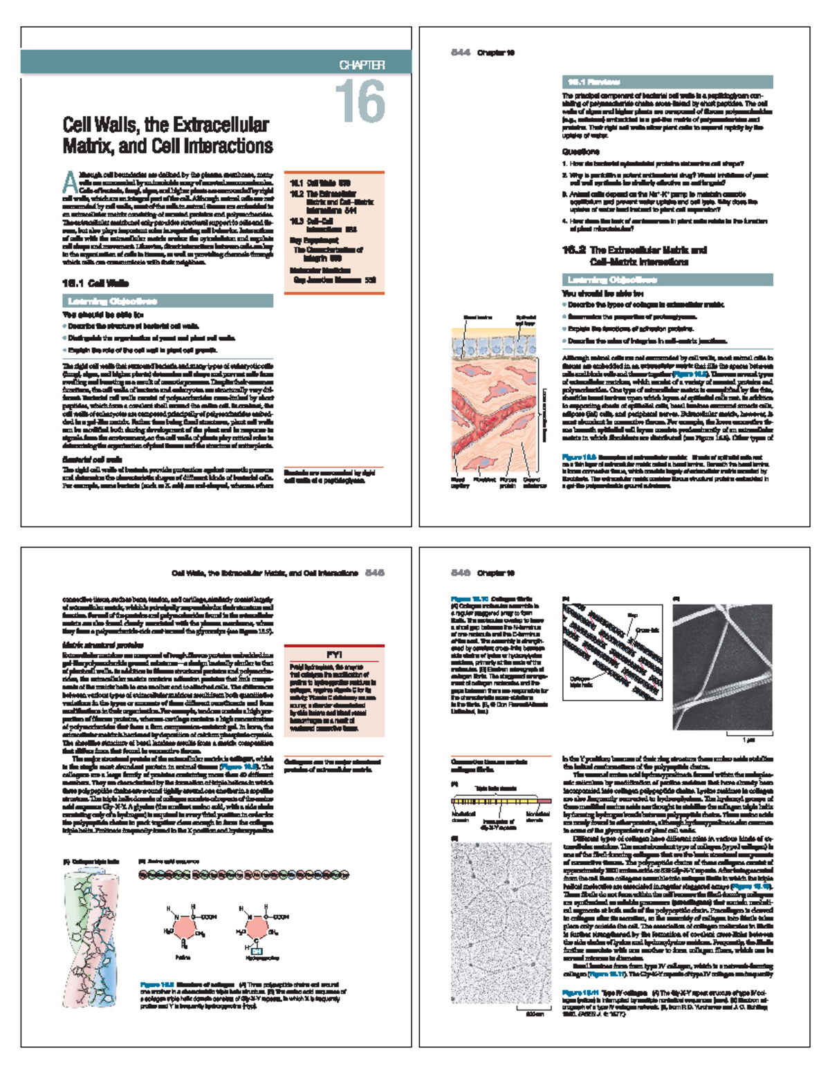 Ch16 - Cell biology chapter 16 - Studocu