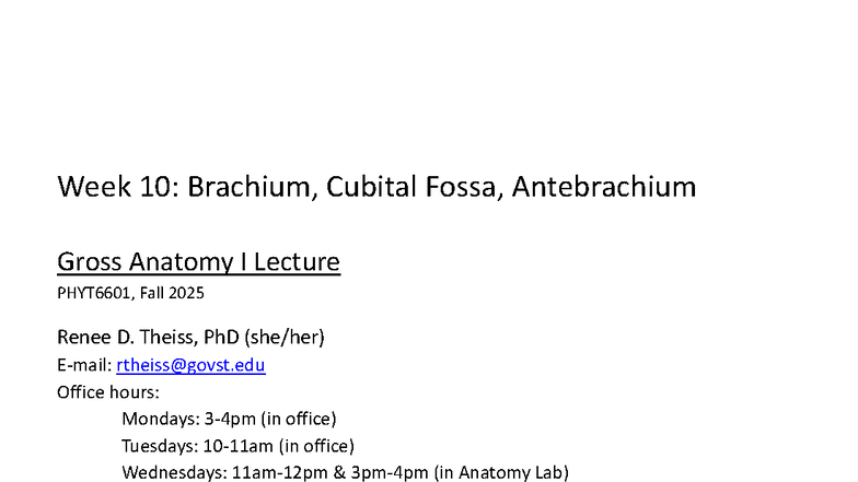 Brachial and Antebrachial Anatomy Lecture Notes (PHYT6601) - Studocu