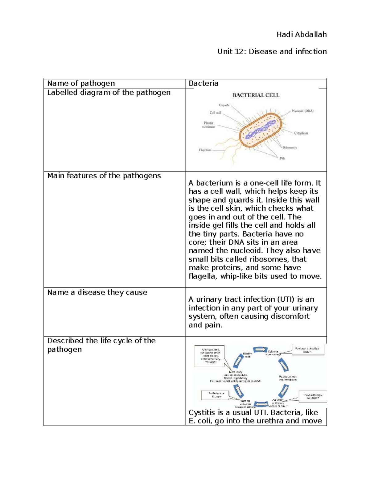 Unit 12: Disease and Infection - Pathogens Overview and Case Studies ...