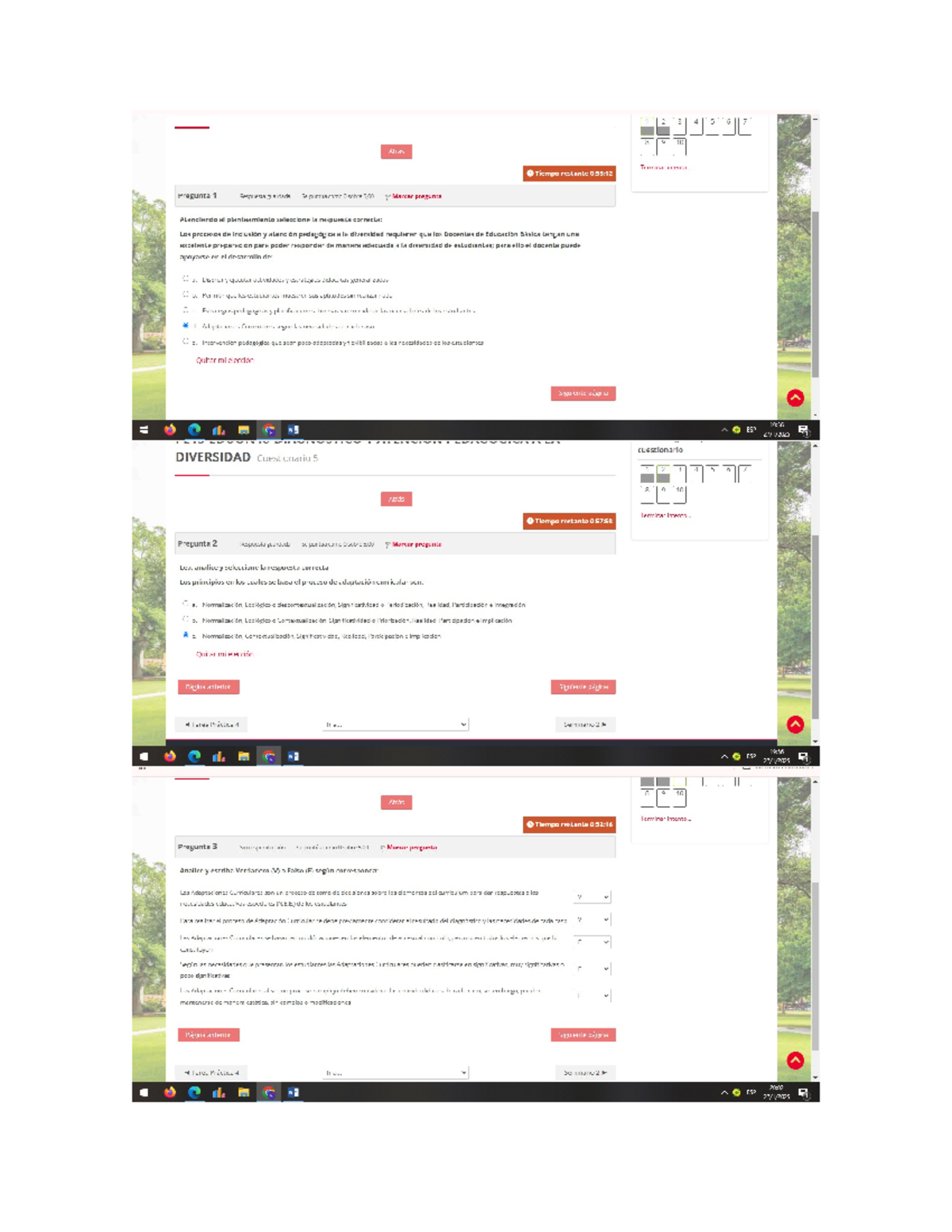 DIAG. Cuest. 4 - Resumen de Atención Pedagógica y Diversidad - Studocu
