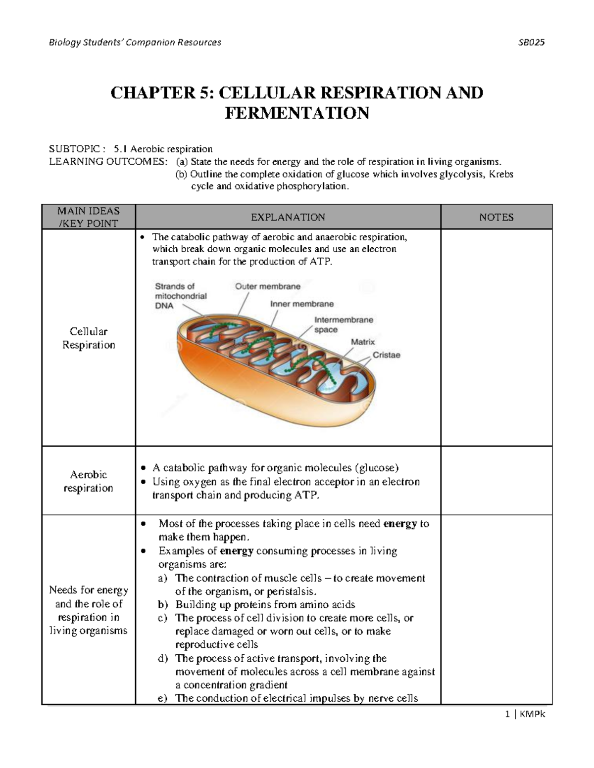 5. Cellular Respiration - CHAPTER 5: CELLULAR RESPIRATION AND ...