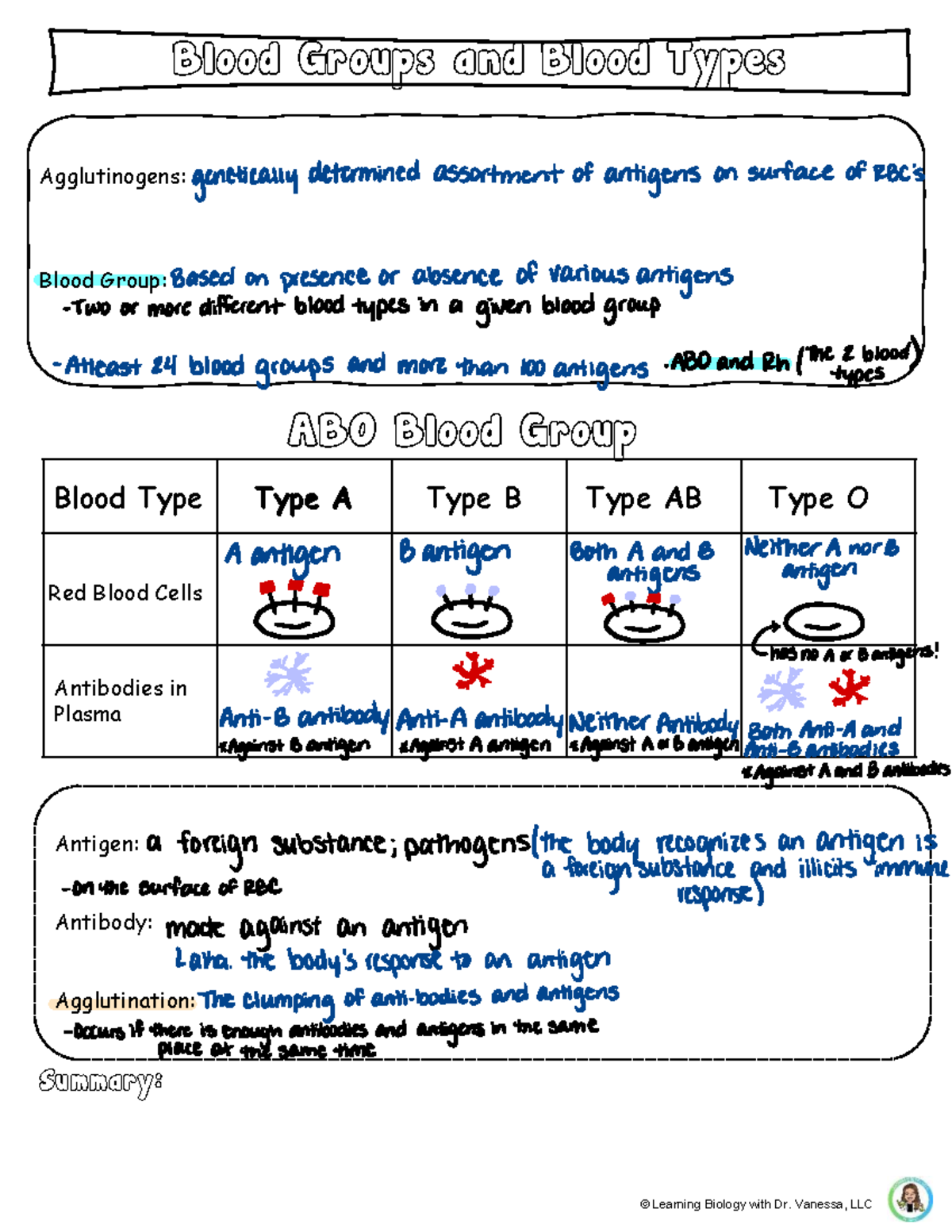Blood Groups and Blood Types: ABO Classification and Rh Factor Overview ...