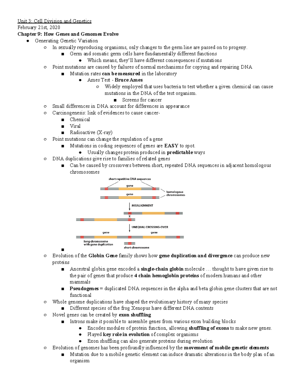 Exam 2 Material - Unit 3: Cell Division and Genetics February 21st ...