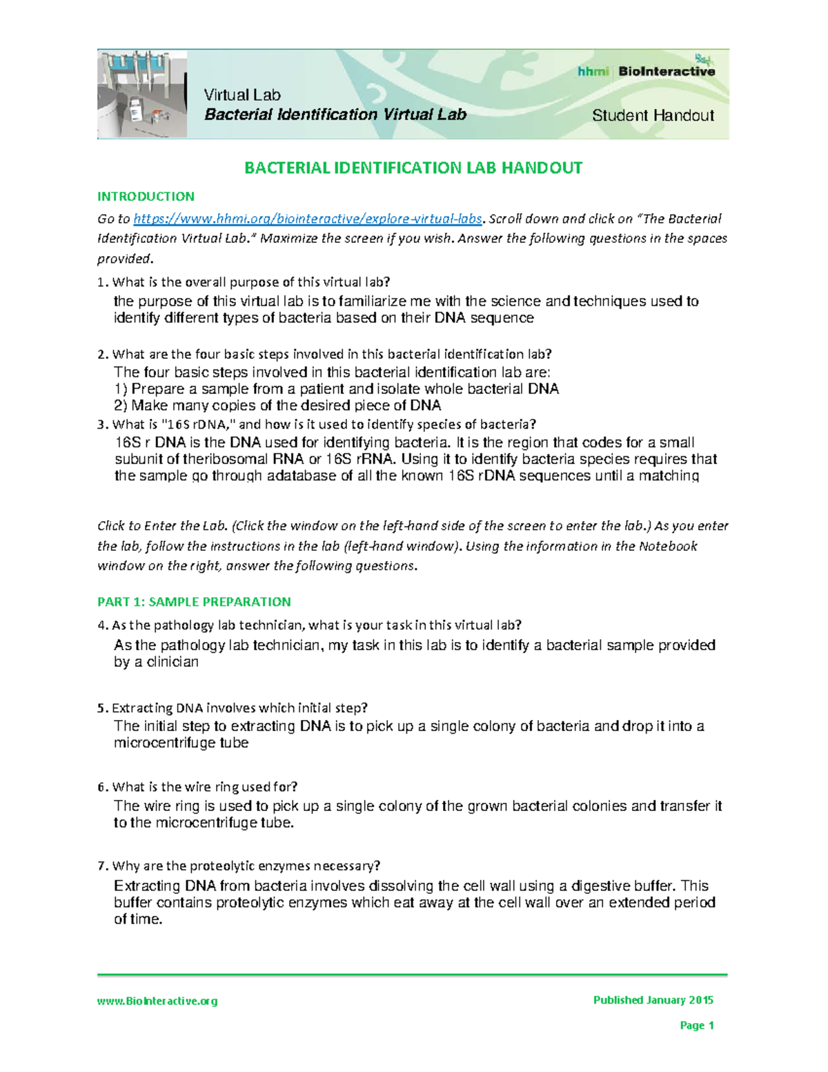 Bacterial Identification Virtual Lab Worksheet - BIO101 Student Handout ...