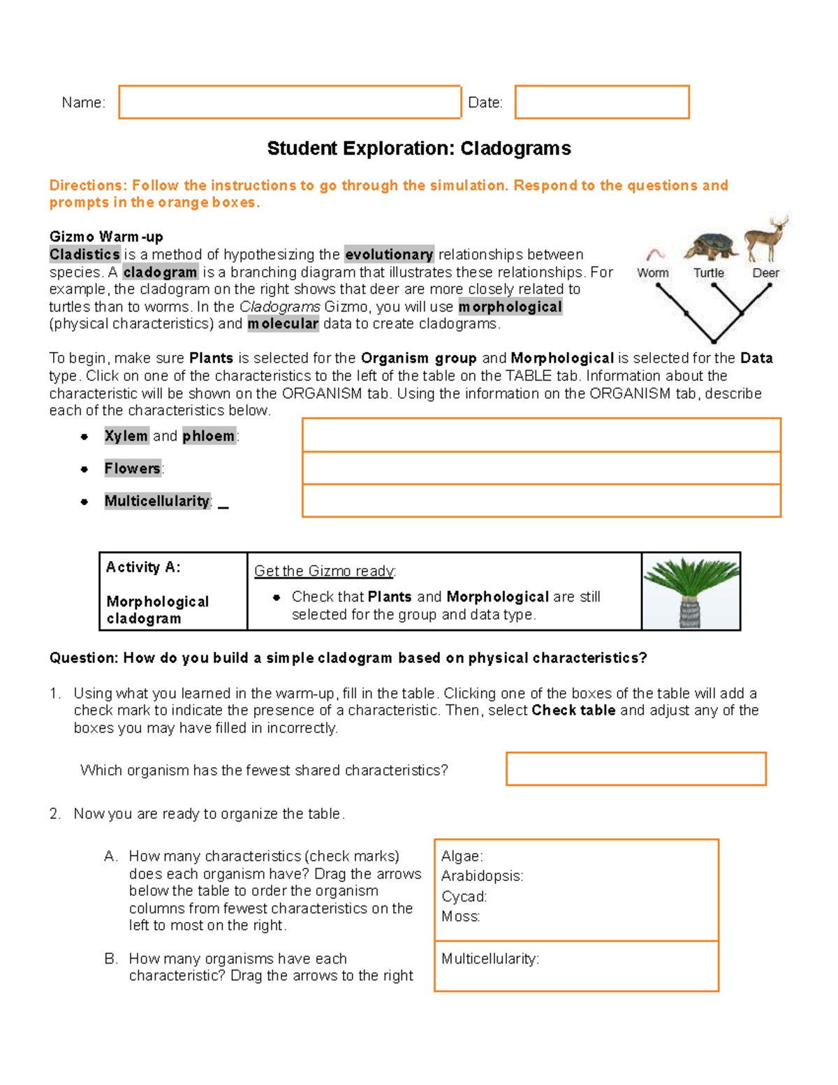 Cladograms Gizmo: Exploring Relationships Among Organisms - Studocu