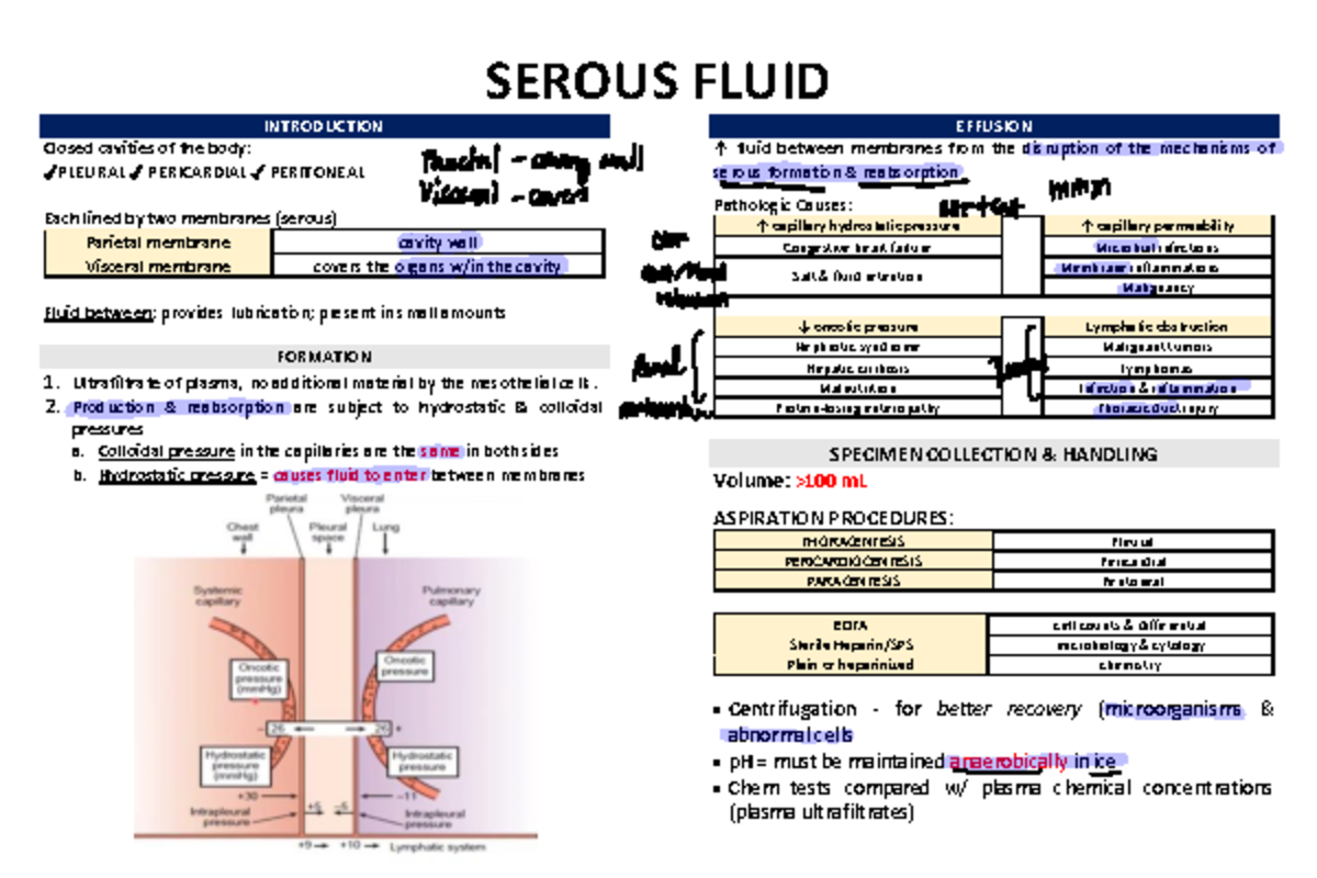 Serous Fluid Examination: Insights on Pericardial and Peritoneal ...