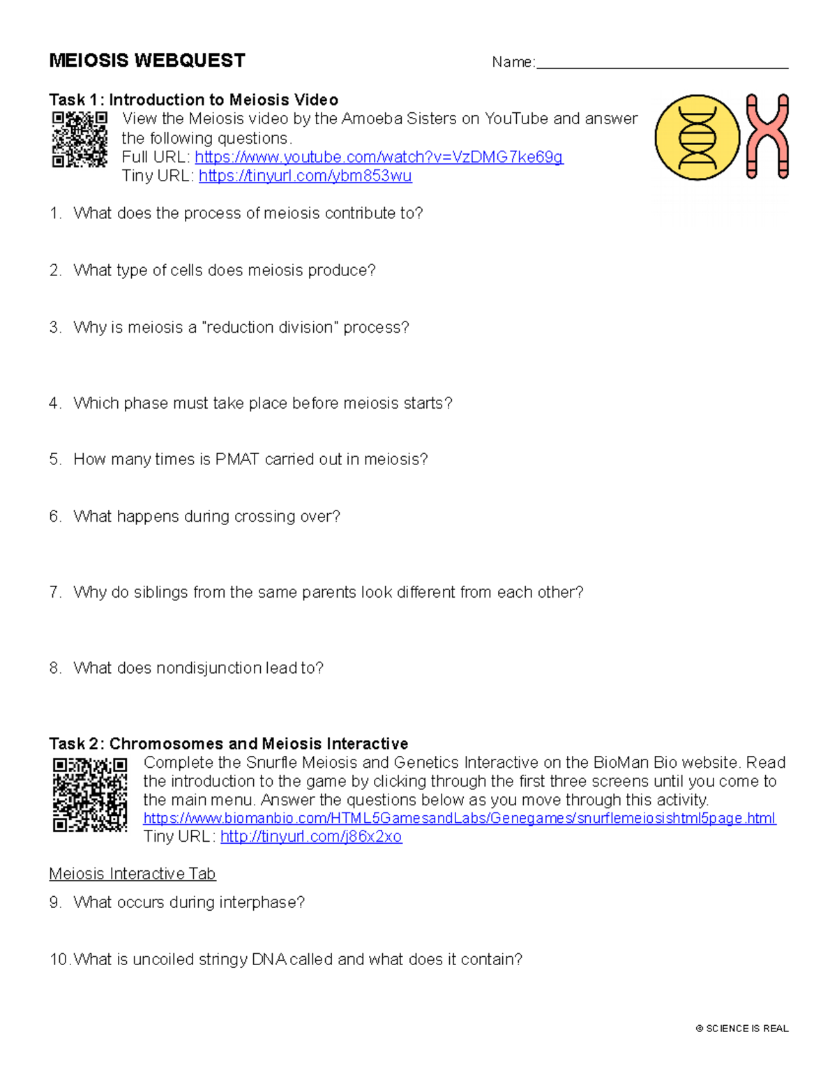 Meiosis Webquest Handout: Activities and Questions in Biology - Studocu