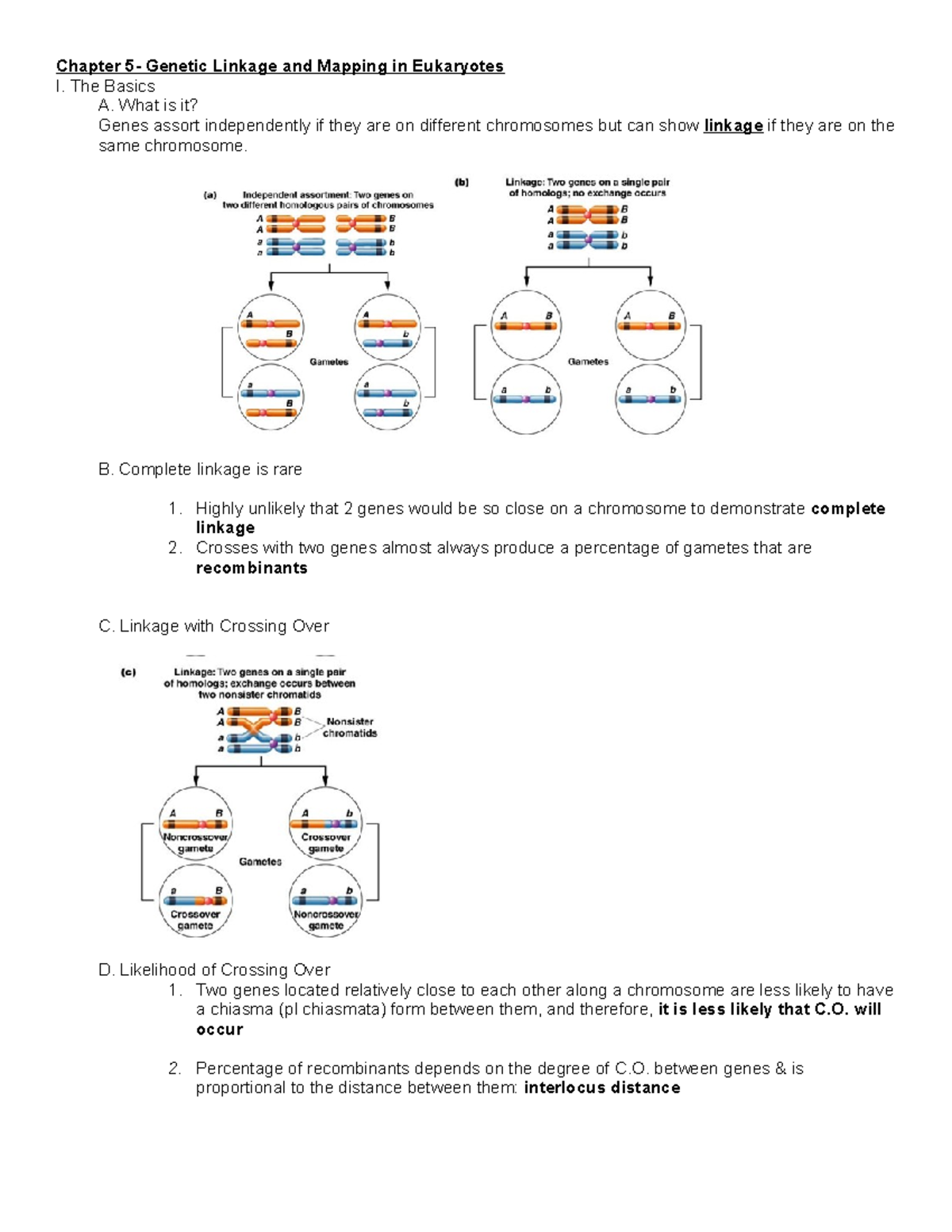 Genetic Linkage and Mapping: Insights from Chapter 5 (Biology 101 ...