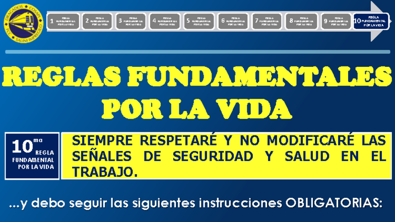Reglas Fundamentales de Seguridad y Salud en el Trabajo - RPVN°10 - Studocu