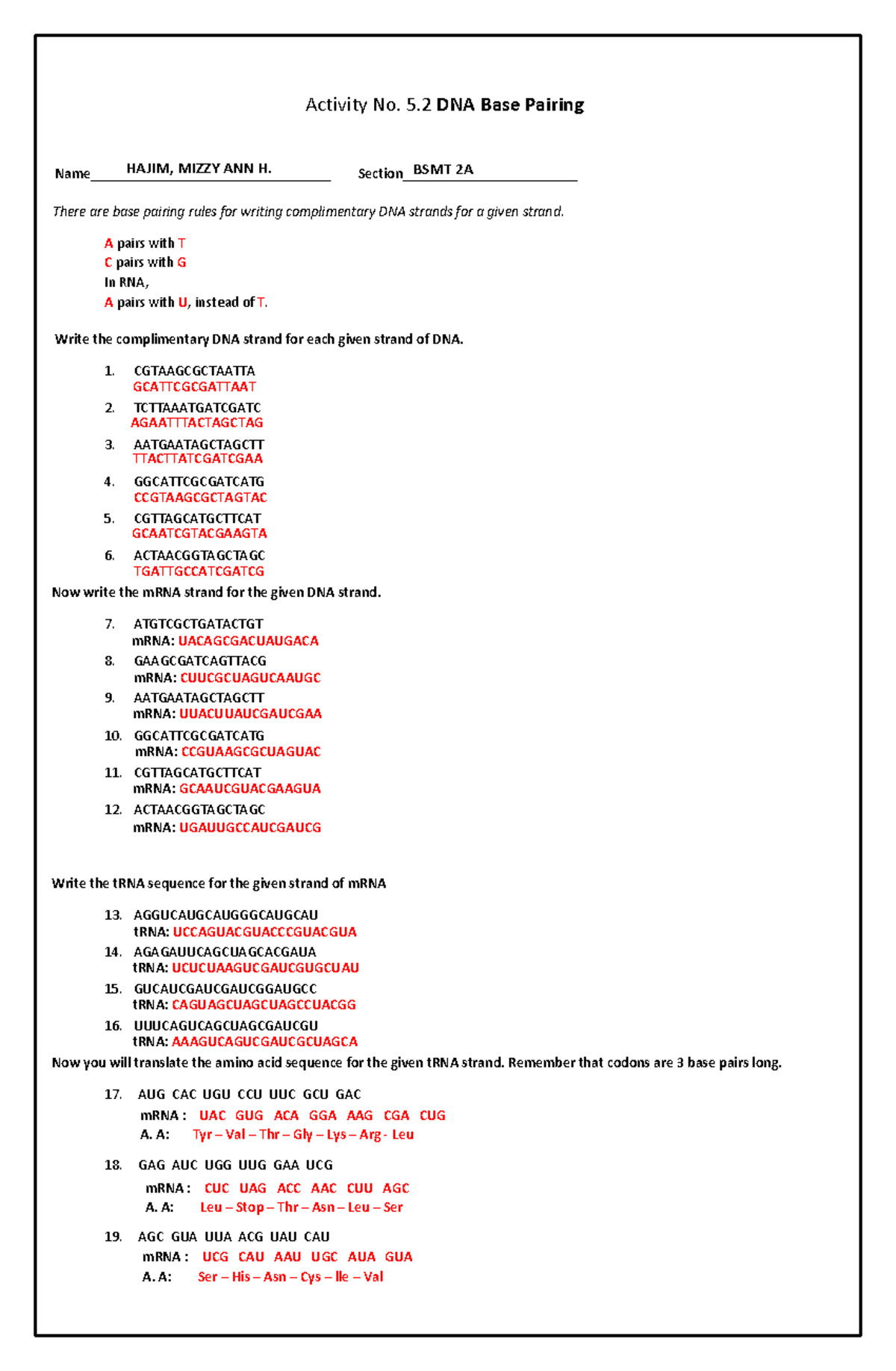 Activity No. 5.2: DNA Base Pairing and mRNA Translation Exercises - Studocu