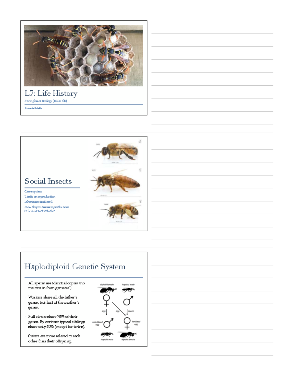 BIOS 305 L7: Life History Strategies & Reproductive Patterns in Ecology ...