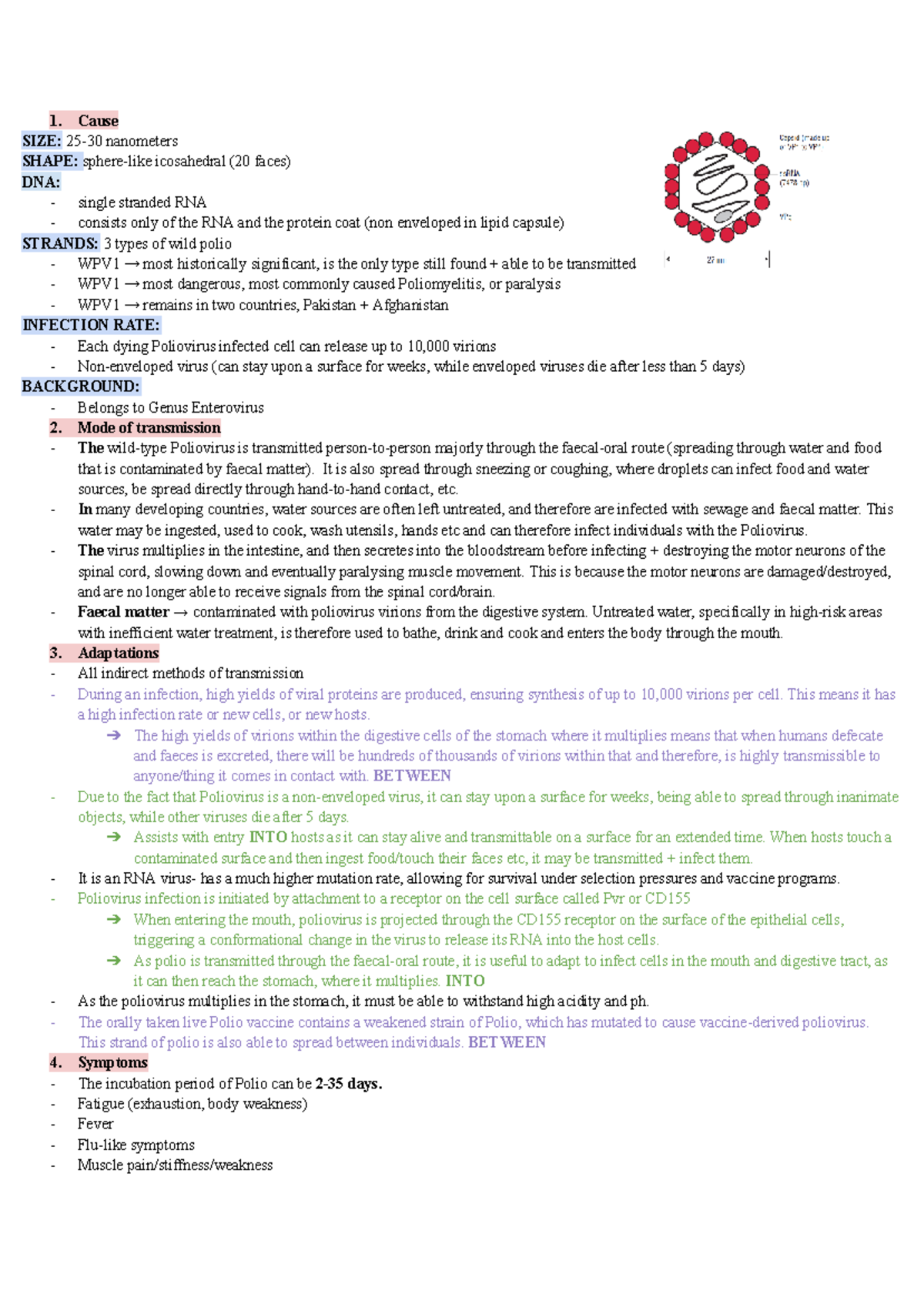 Bio Depth Study: Poliovirus (WPV1) Transmission and Treatment Insights ...