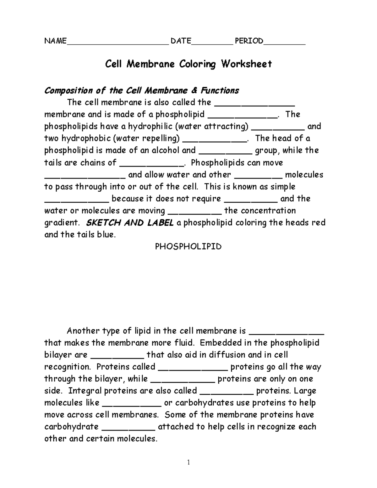 Cell membrane coloring worksheet - NAME______________________ DATE ...