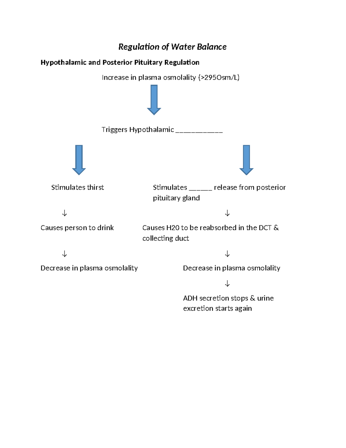 Regulation of Water Balance: Hypothalamic & Pituitary Control Handout ...