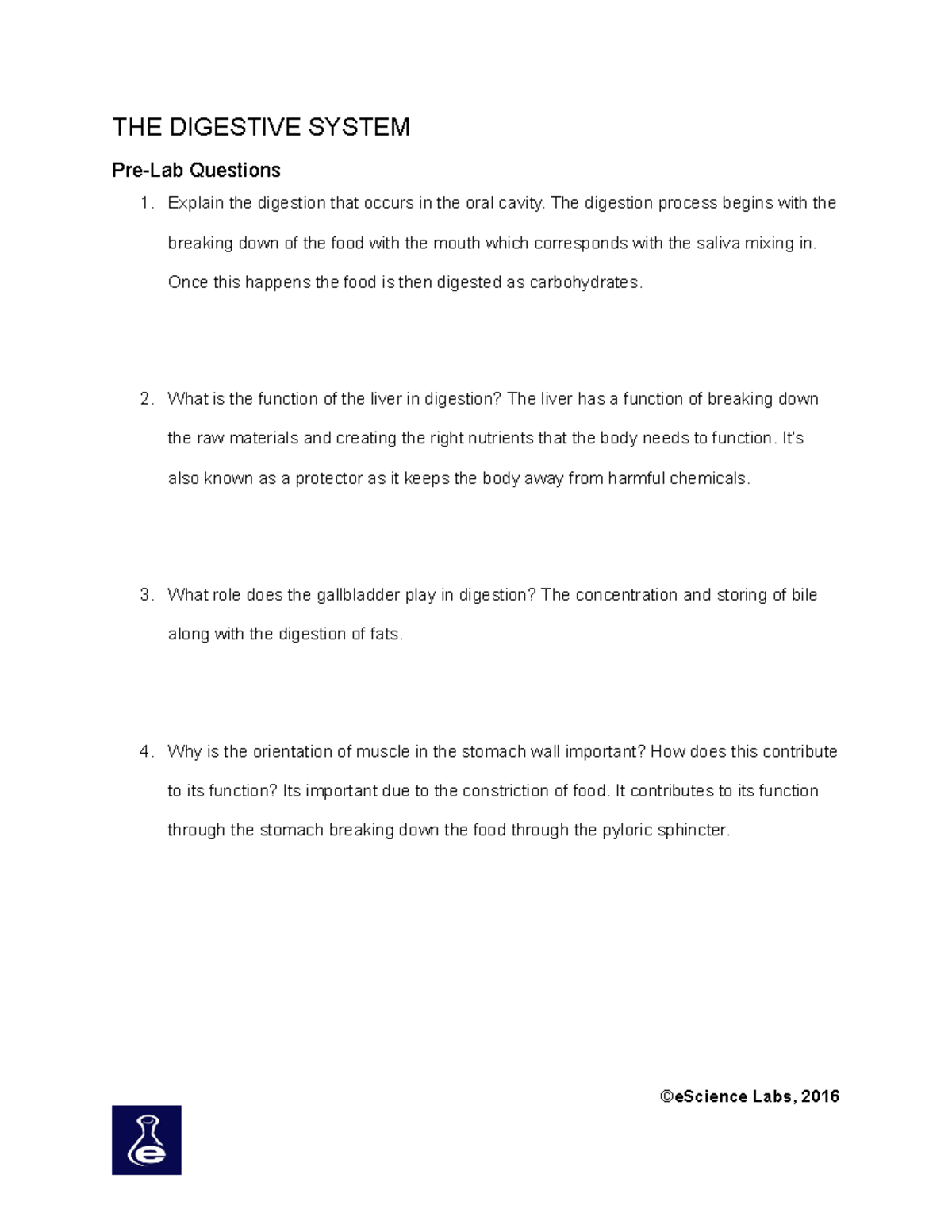 Digestive System - THE DIGESTIVE SYSTEM Questions 1. Explain the ...