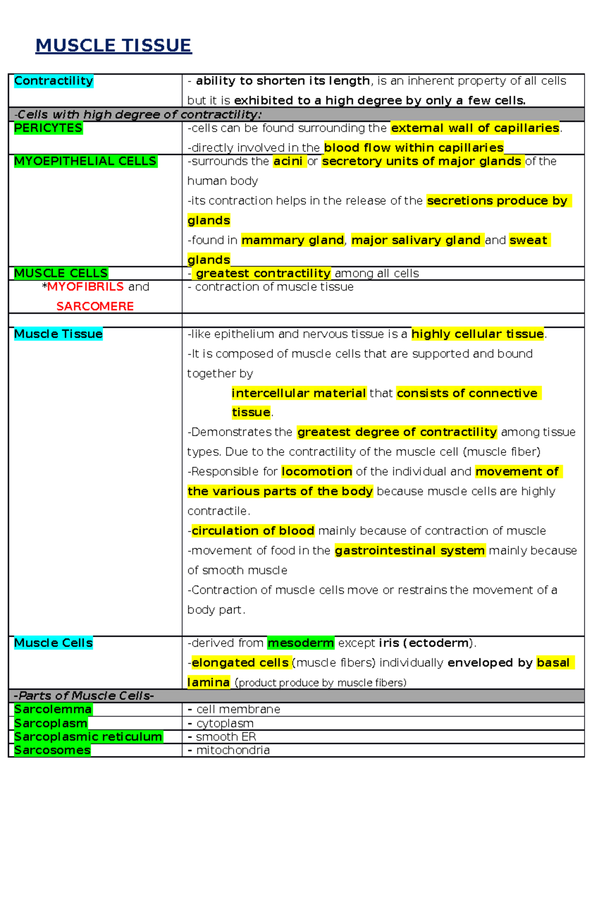 MUSC 101: Comprehensive Muscle Tissue Notes and Key Concepts - Studocu