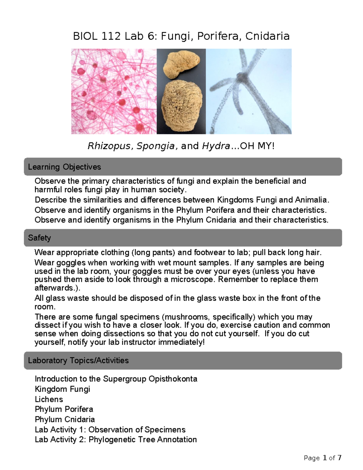 Lab 6: Fungi, Porifera & Cnidaria Protocol & Data Summary BIOL 112 ...