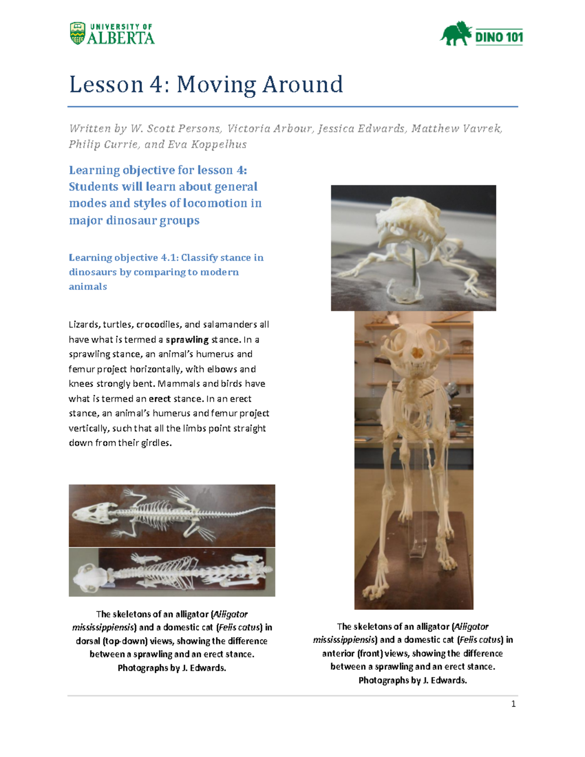 Lesson 4 F15 - Dinosaurs' Locomotion and Postural Adaptations - Studocu
