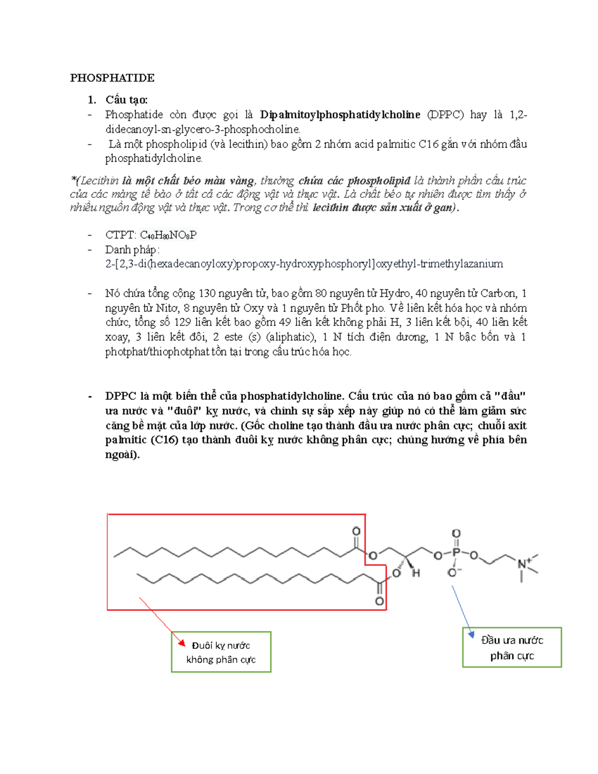 ST101: Phosphatide Structure, Properties and Functions Explained - Studocu