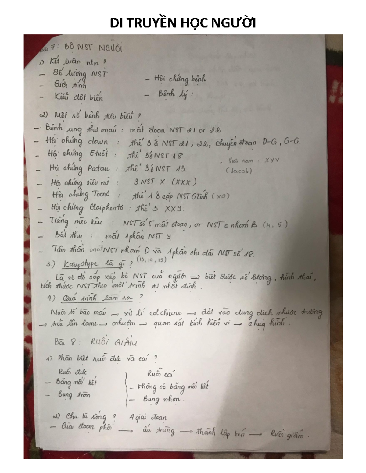Di-truyen-hoc di-truyen-hoc-nguoi - [cuuduongthancong.com] - Sinh học ...