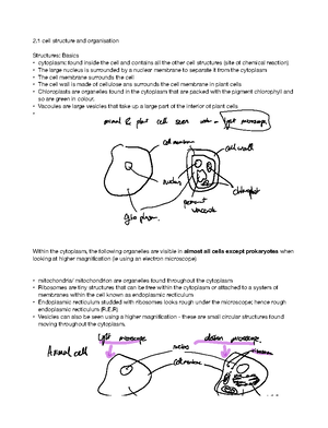 GCSE chem topic 1 - chem - The particulate nature of matter Solids ...