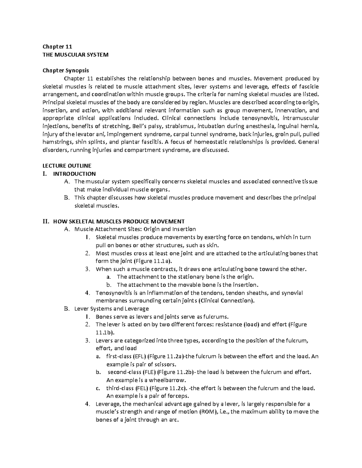 Muscular System Overview & Clinical Connections - ANAT 101 Chapter 11 ...