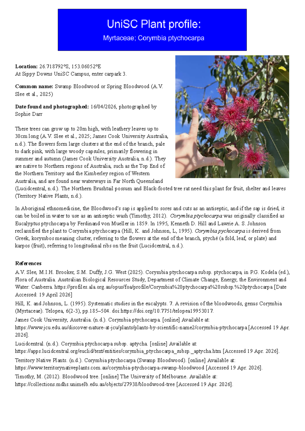 ENS221 Task 1 - Plant Identification at UniSC Campus - Studocu