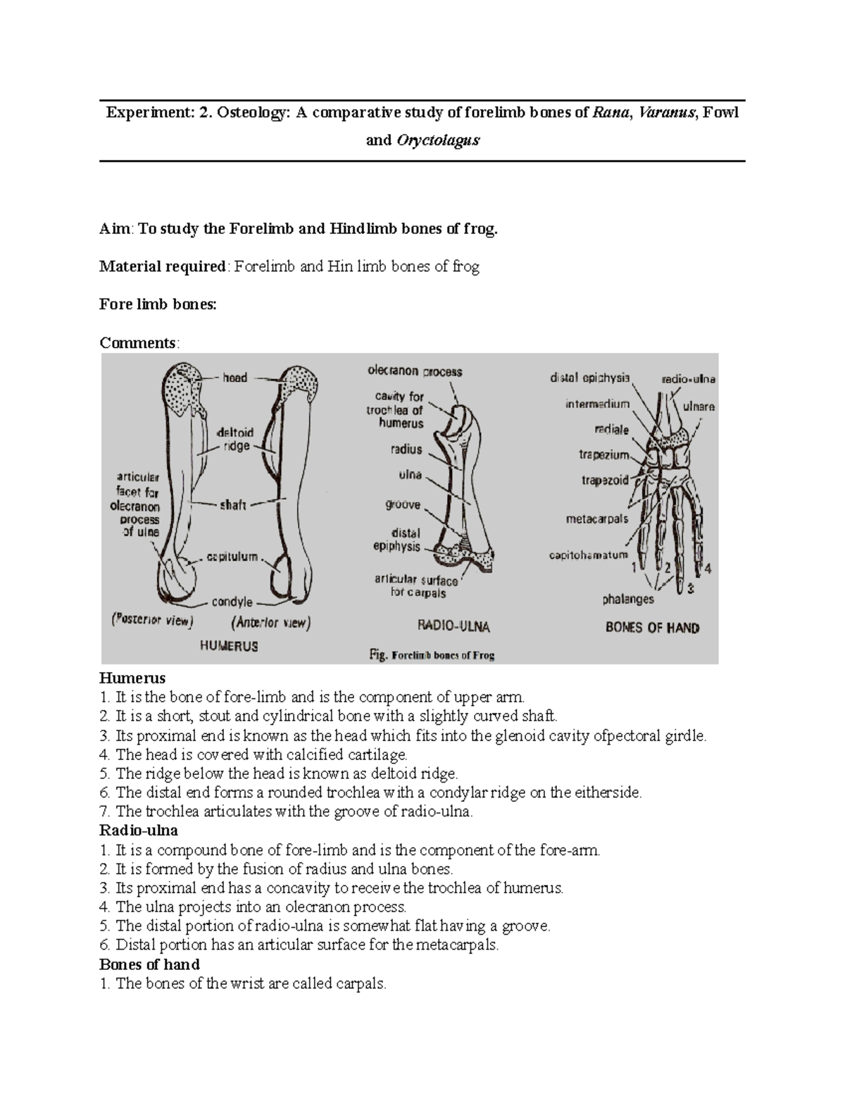 Comparative Osteology of Forelimb Bones: Frog, Varanus, Fowl, Rabbit ...