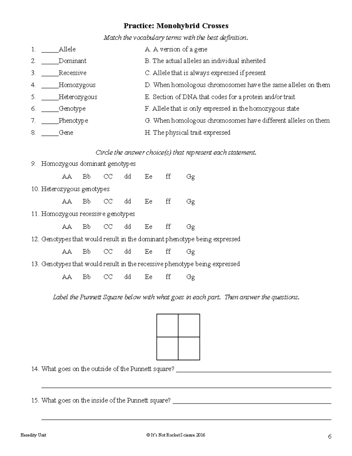 Monohybrid Cross Worksheet for Heredity Unit Practice - Studocu