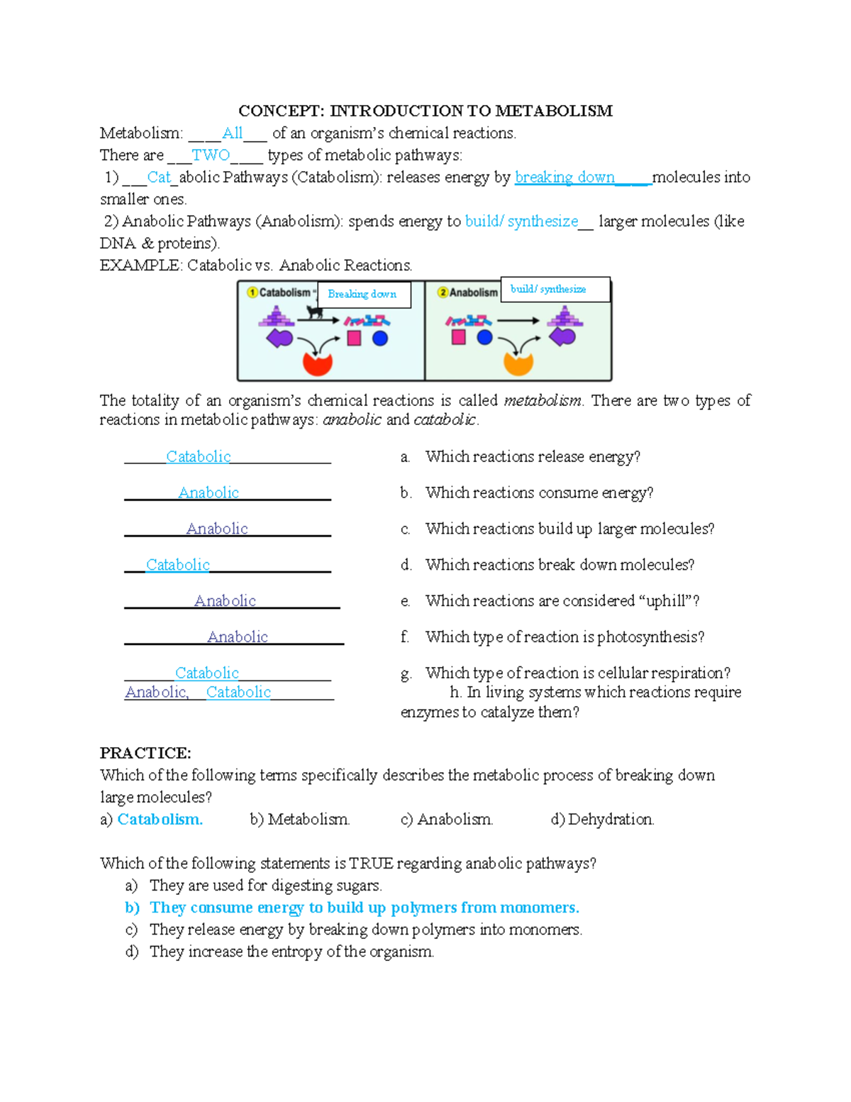 Biology 101: Photosynthesis & Cellular Respiration Notes - Studocu