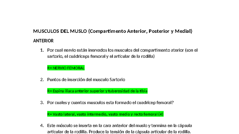 MUSCULOS DEL MUSLO, PIERNA Y PIE: Anatomía y Funciones - Studocu