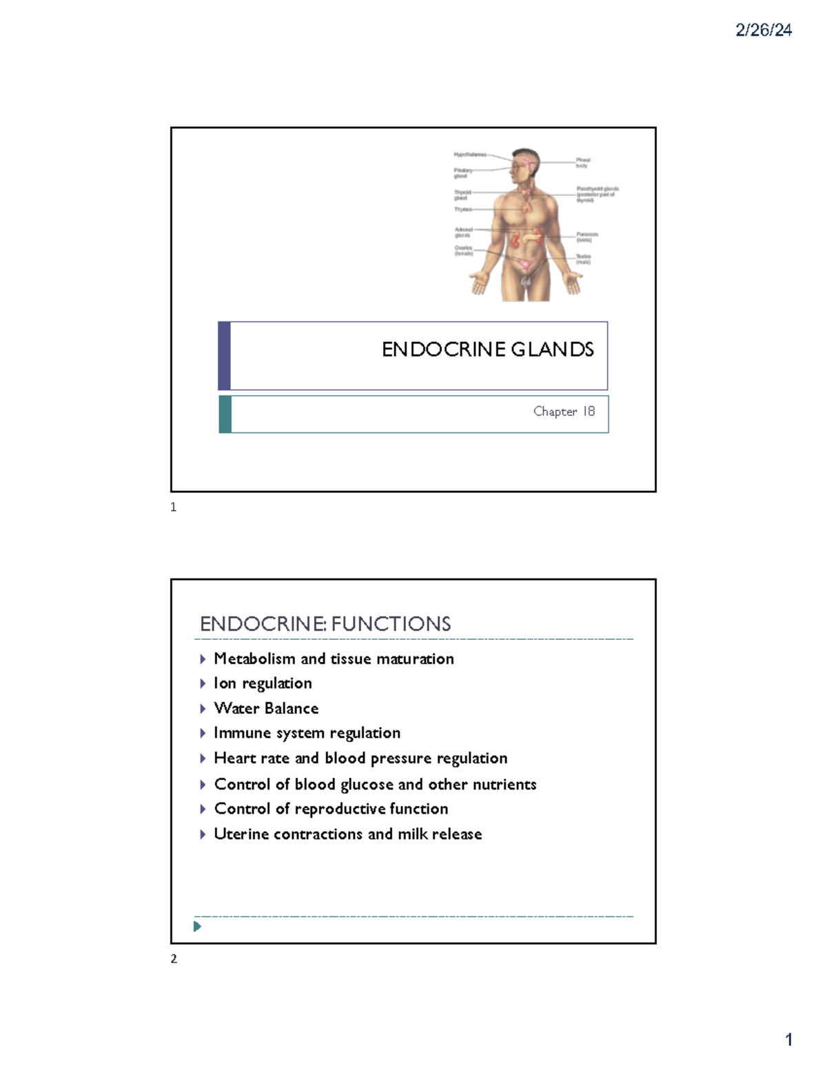 Endocrine System Overview: Hormones, Glands, and Their Functions (Bio ...