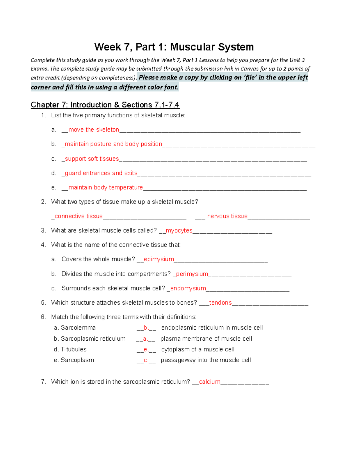 Copy of Copy of BIO 145 Week 7, Part 1 Study Guide Muscular System ...