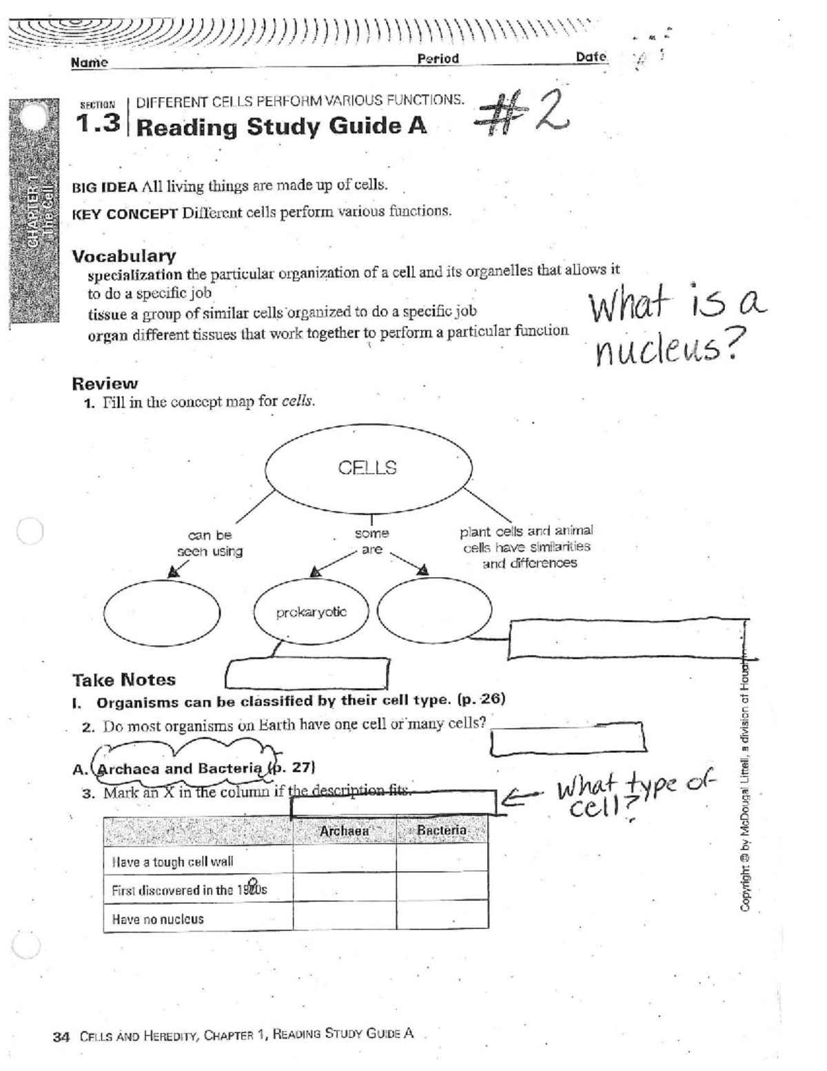 1.3 Reading Study Guide: Functions of Different Cells in Chapter 1 - Studocu