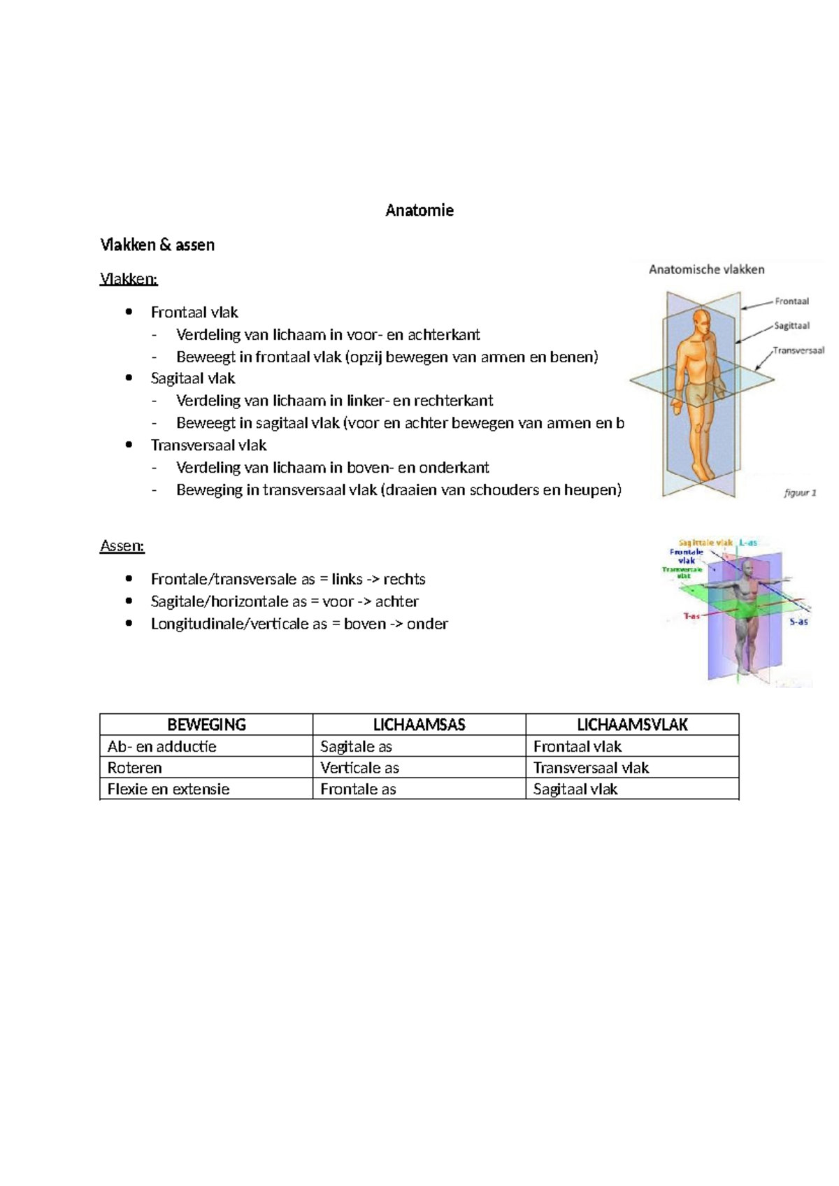 Anatomie samenvatting (nieuw) - Kopie - Anatomie Vlakken & assen ...