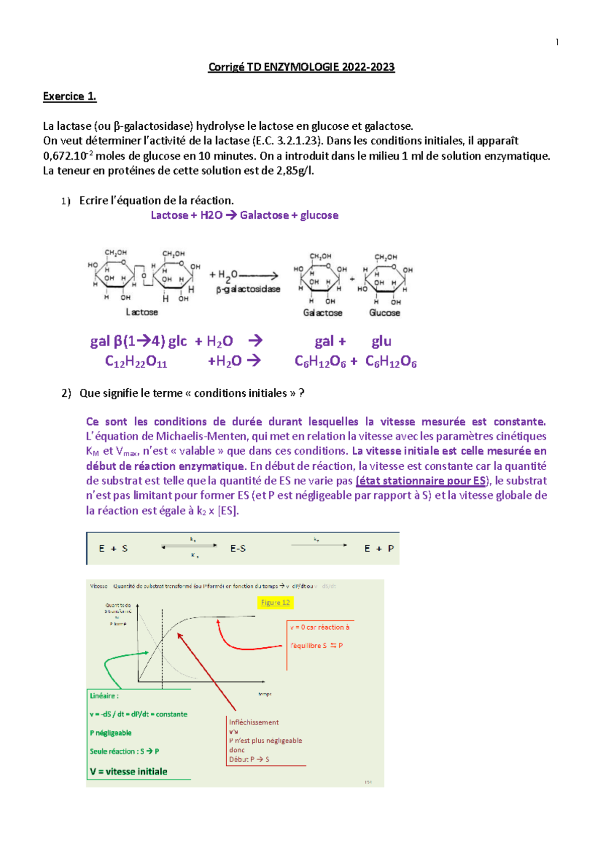 Corrigé TD Enzymologie 2023 : Exercices et Calculs d'Activité Enzymatique - Studocu