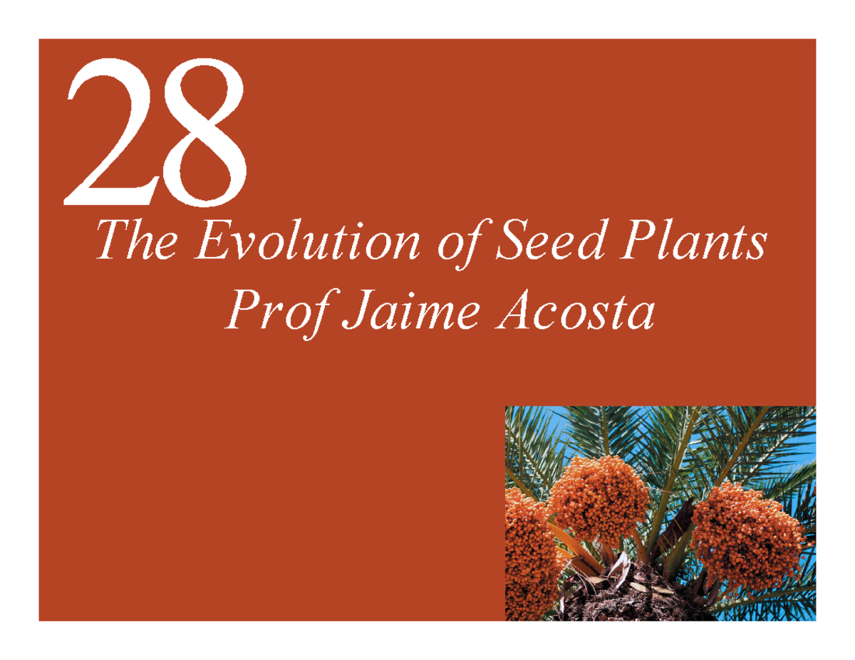 Key Concepts and Evolution of Seed Plants in Biology 28 - The Evolution of Seed Plants Prof ...