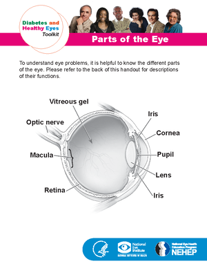 Section 13 Chapter 6 Anatomy and Structure of the Eye - BASIC ANATOMY AND PHYSIOLOGY OF THE ...