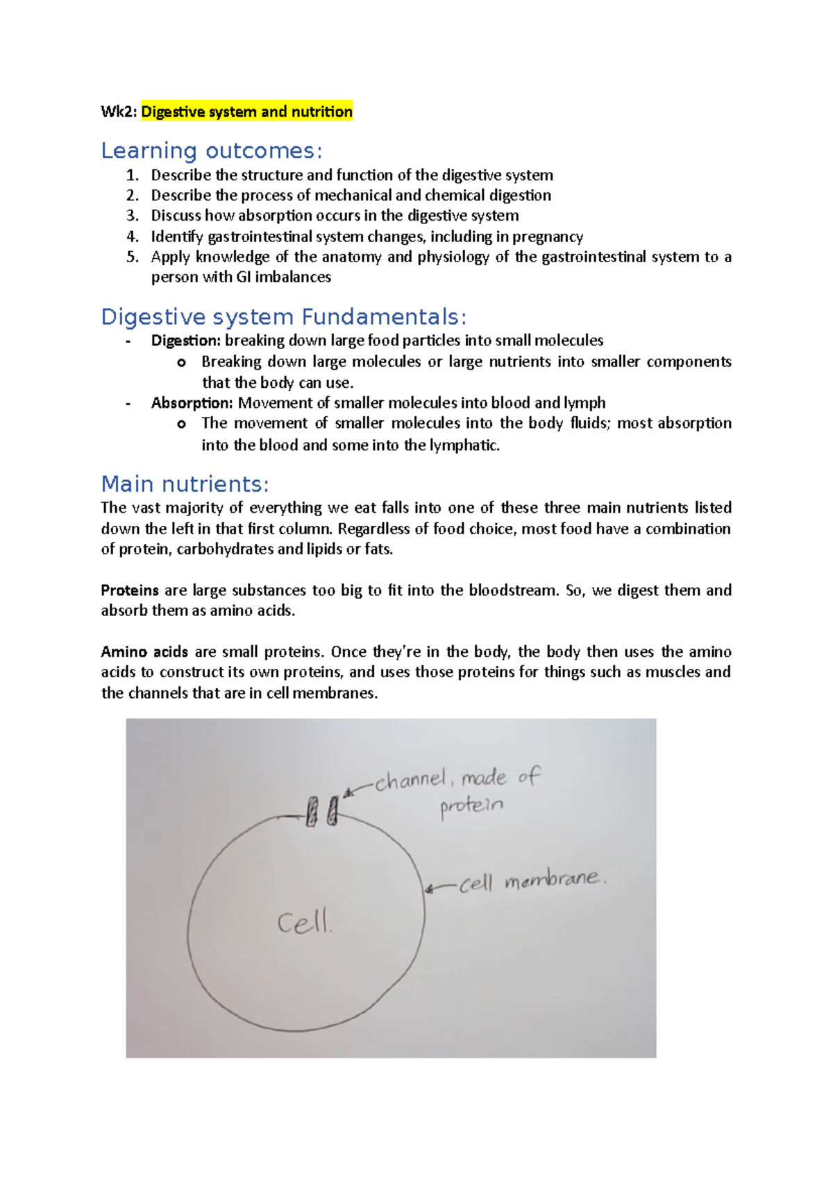 WK2-Digestive system and nutrition - Wk2: Digestive system and ...