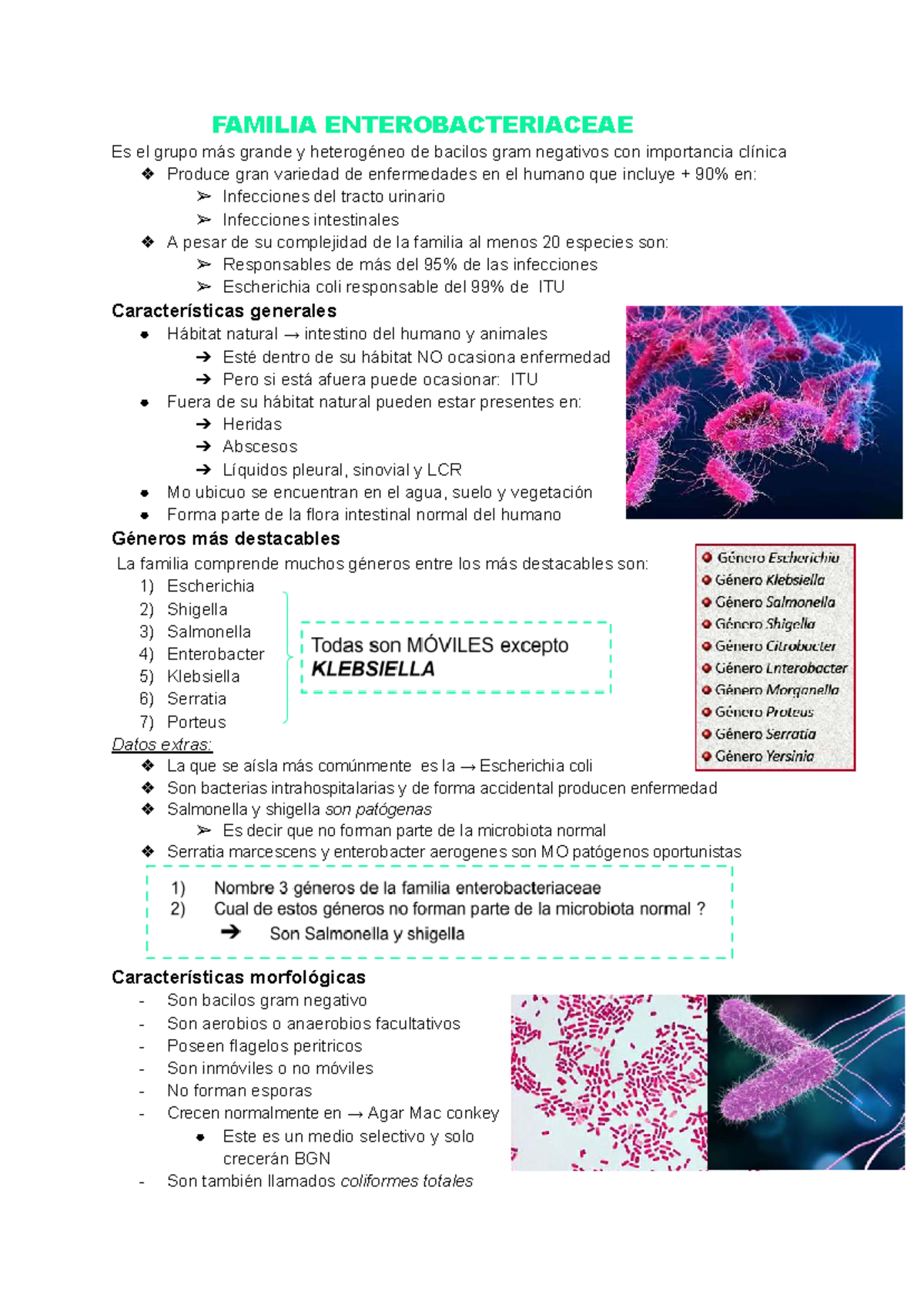 Micro B3 - Familia Enterobacteriaceae: Características y Patologías ...