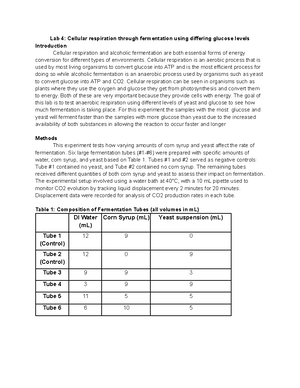Lab 4 Lab report - Cellular respiration and fermentation lab - Title ...