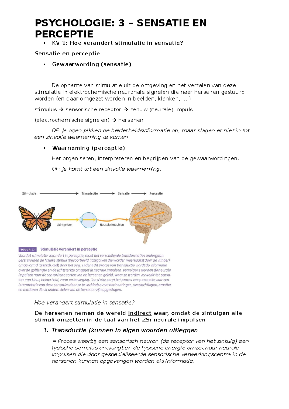 PSYCHOLOGIE: Les 3 - Sensatie en Perceptie: Hoe Stimuli Worden ...