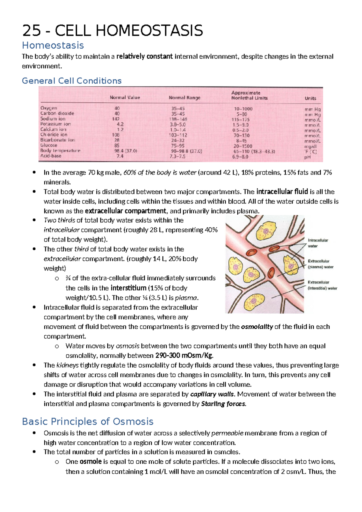 25 - Cell Homeostasis - Paper - 25 - CELL HOMEOSTASIS Homeostasis The ...