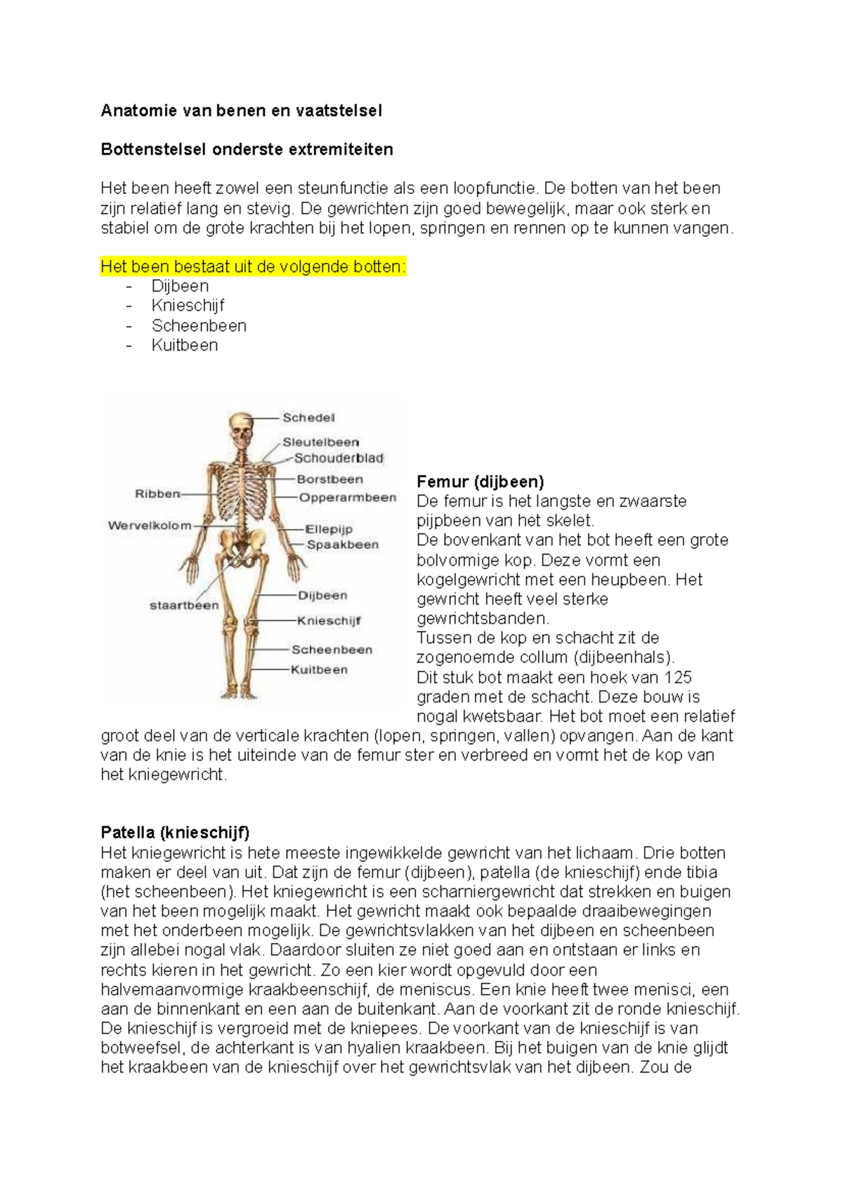 Anatomie en Fysiologie van de Hersenen: Een Overzicht - Studeersnel