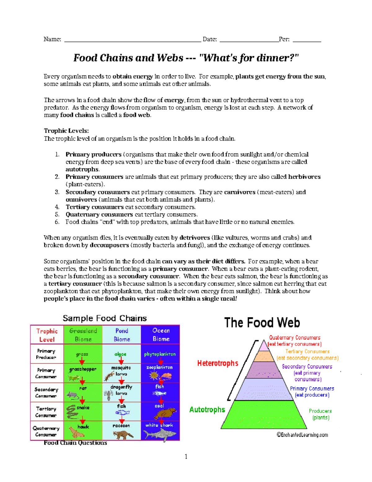 BIOL 101: Food Chains and Webs - Understanding Energy Flow - Studocu