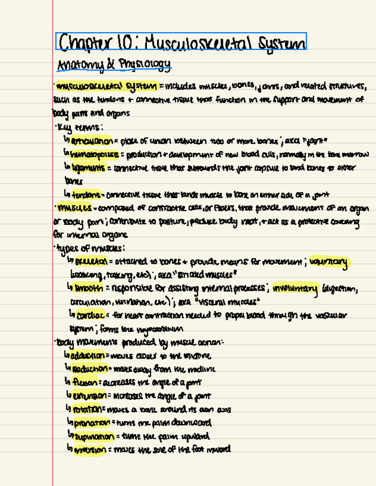 Musculoskeletal System Overview: Key Terms & Concepts (MED-101) - Studocu